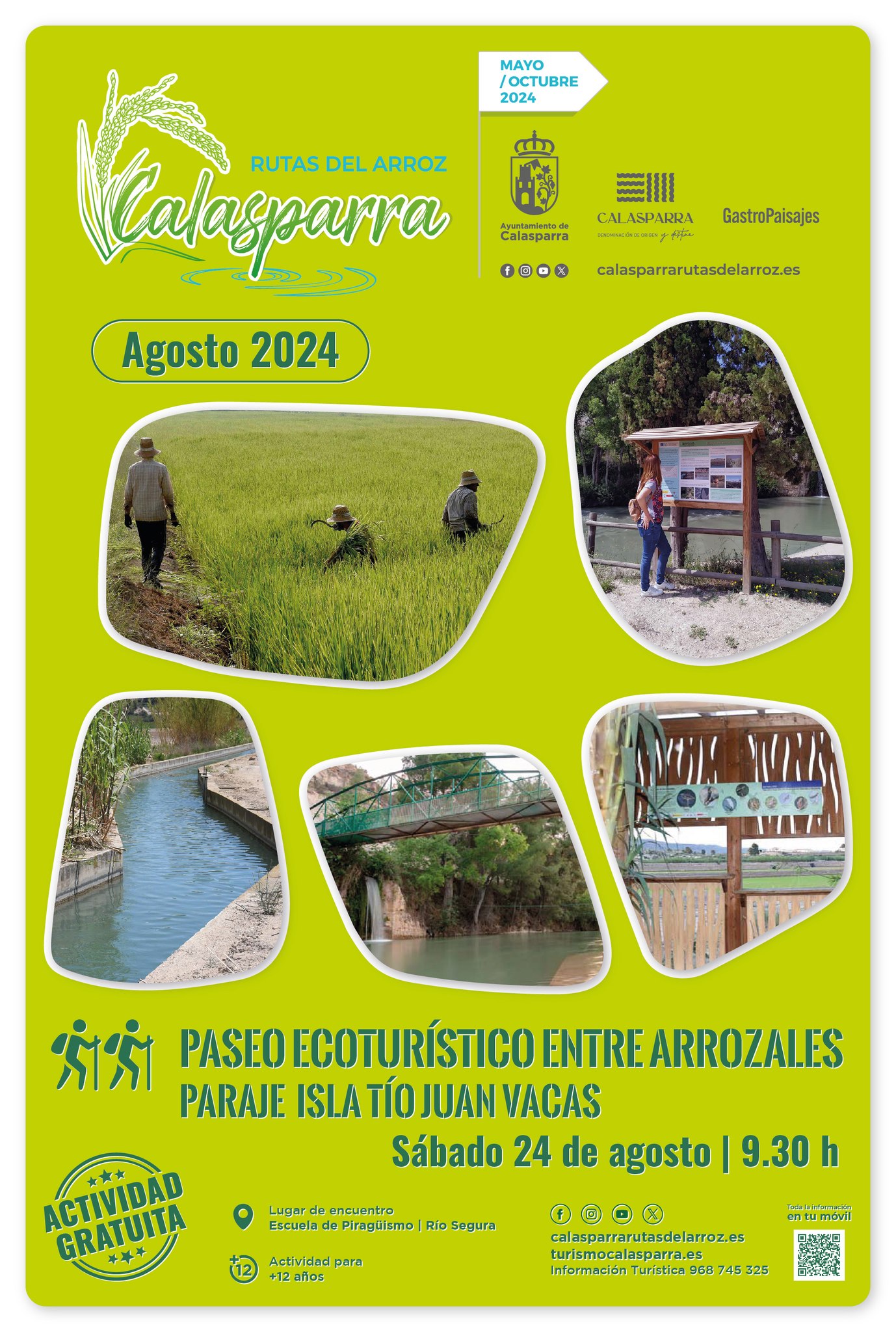 RUTA DEL ARROZ en CALASPARRA - La Guía W - La Guía Definitiva ...