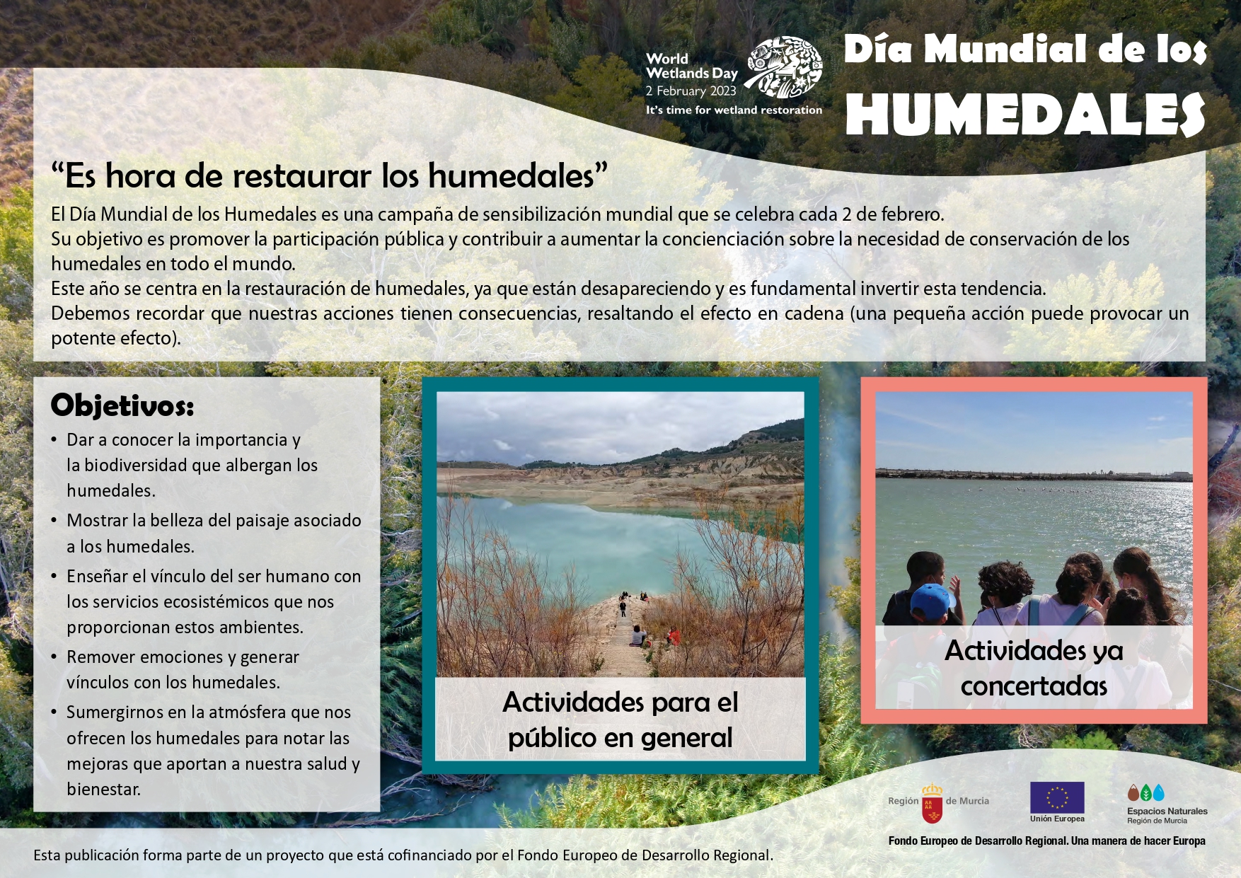 Día Mundial de los Humedales - La Guía W - La Guía Definitiva ...