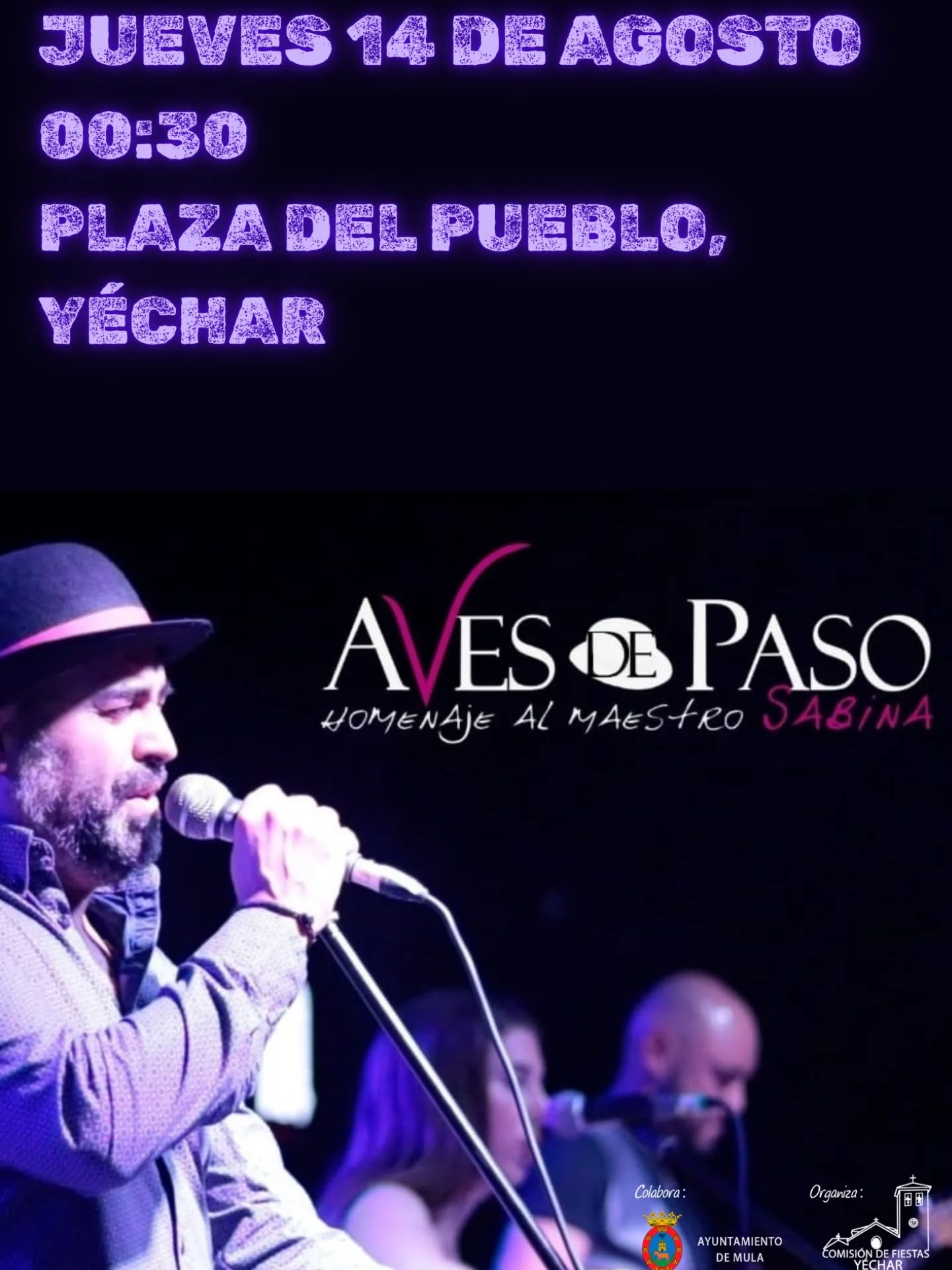 Programa Fiestas Yéchar 2025 - La Guía W - La Guía Definitiva ...